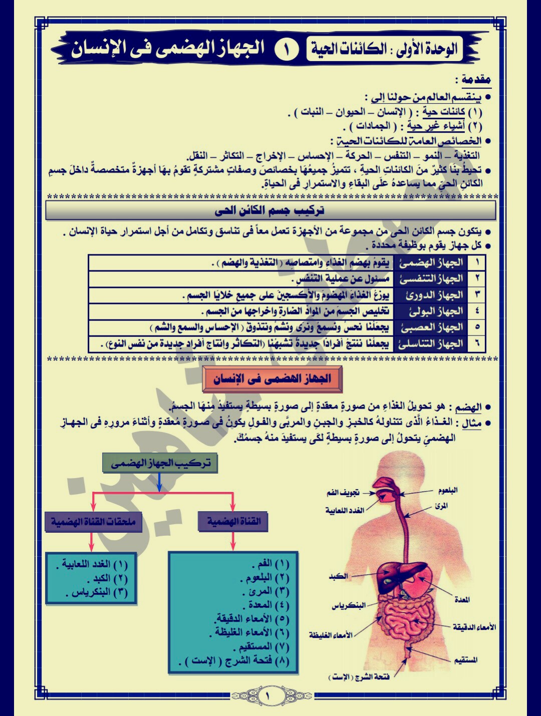 تحميل مذكرة شرح العلوم الصف الرابع الابتدائي الفصل الدراسي الثاني 2018