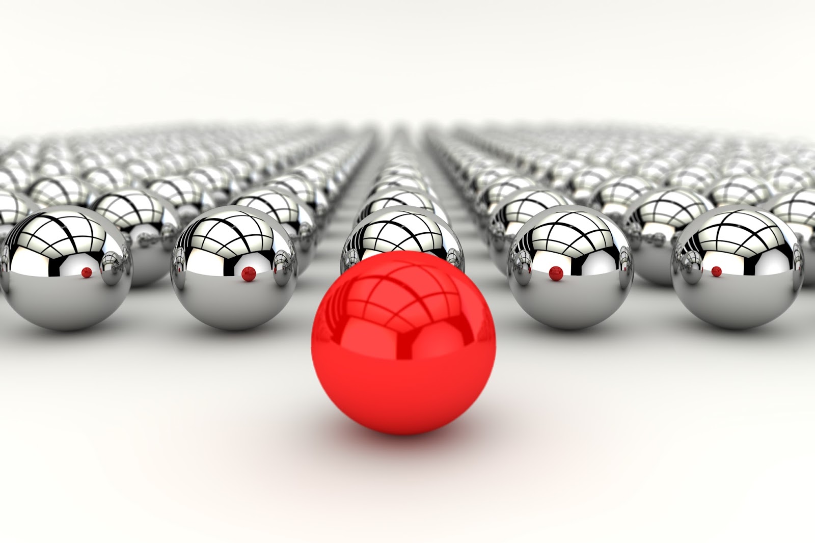 Susan Marie : 5 Websites That Must Be Checked Out