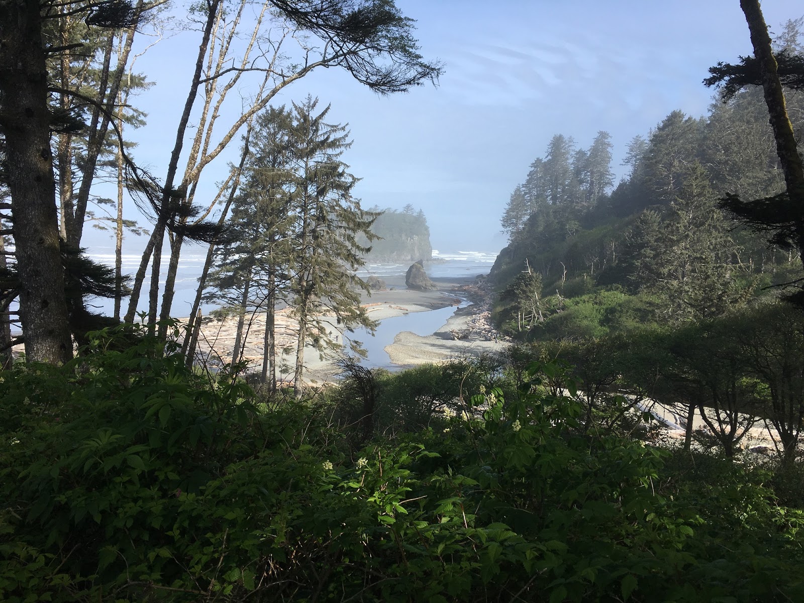 Ruby Beach, Olympic National Park | wallpaper hd nature
