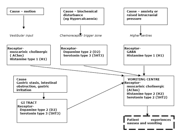 Cal Poly BIO 502: Kicking Kinetosis