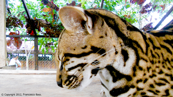 TURISMO TENA: TURISMO TENA