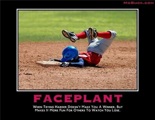 World Wildness Web: Faceplant
