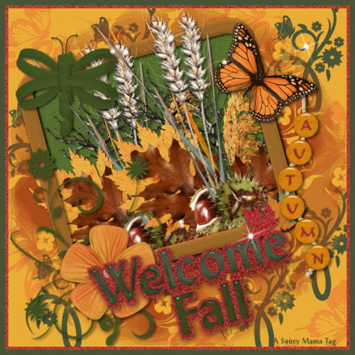 Reflections from Bon Bon Pond: Autumnal Blessings!