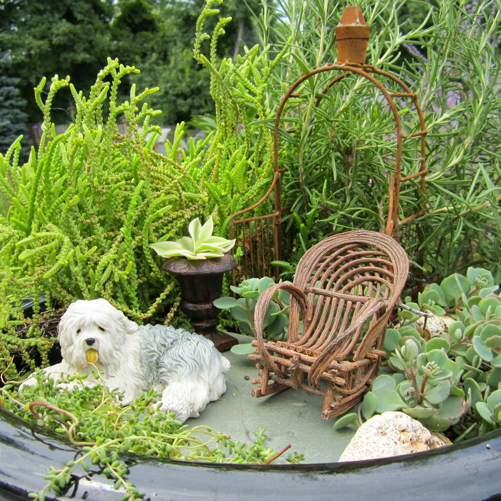 Flowers & Flours: Miniature Gardens
