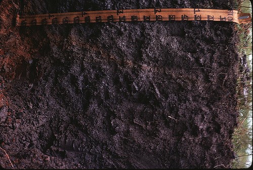 Tipos de suelos en Venezuela y sus características : 2016