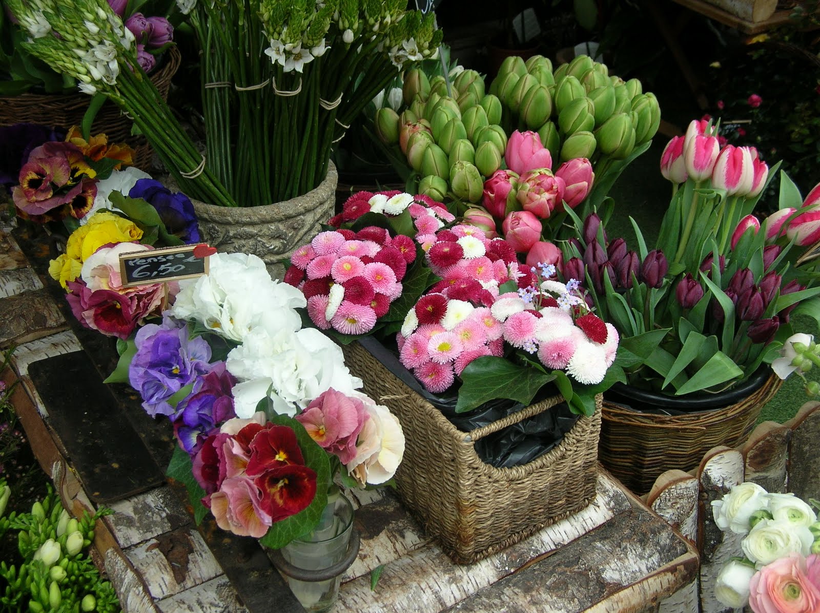 Paris Through My Lens: Pour Moi?