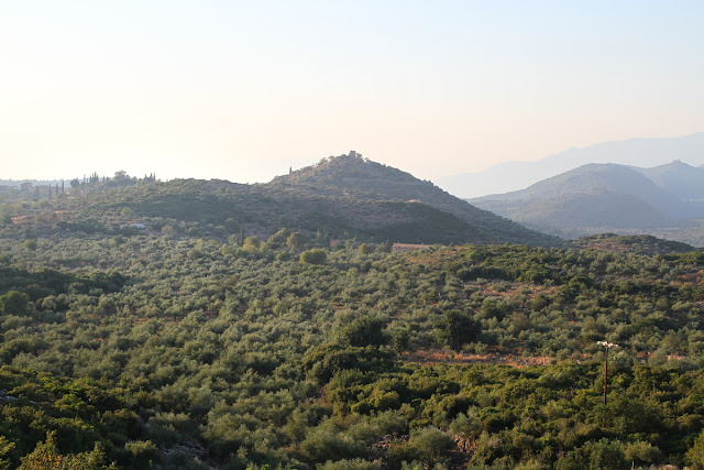 Antiguos OLIVOS del Mediterráneo : GREECE. ELLADA. MESSINIA. METHONI ...
