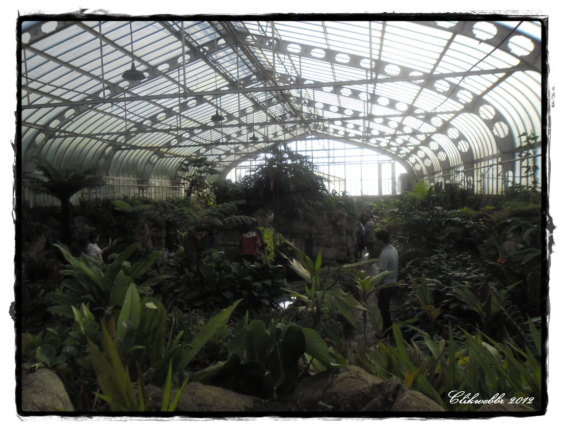 Mundo das Plantas : Jardim Botânico de São Paulo, Botanical Garden of ...