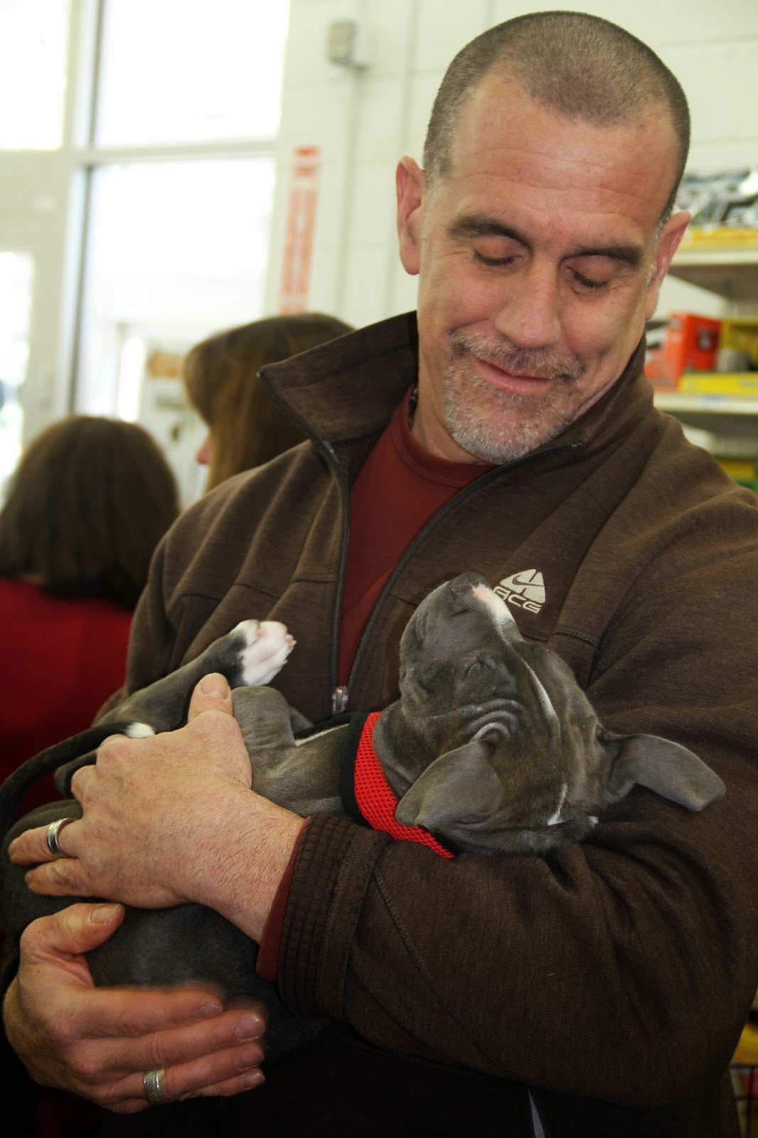 The Red Dog Project – Success! – This Old House 2