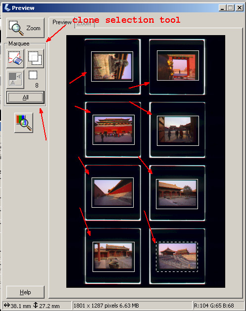 In My View Bulk Slide Scanning Job