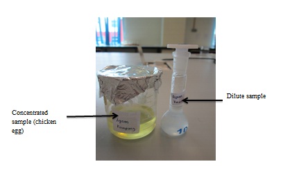 biochemistry: Practical 2 : Protein Experiment