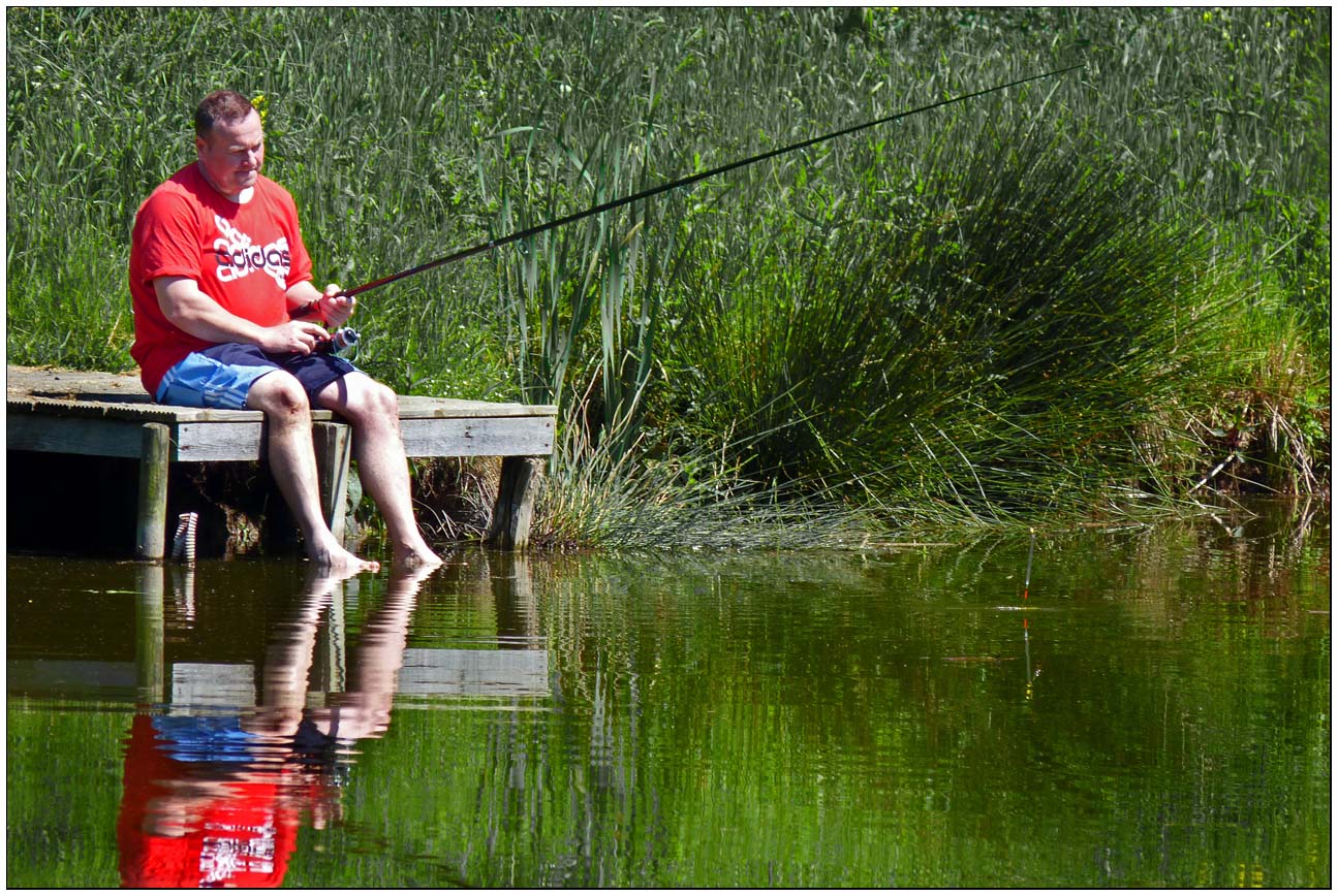 Lincolnshire Cam: Alvingham Lakes.