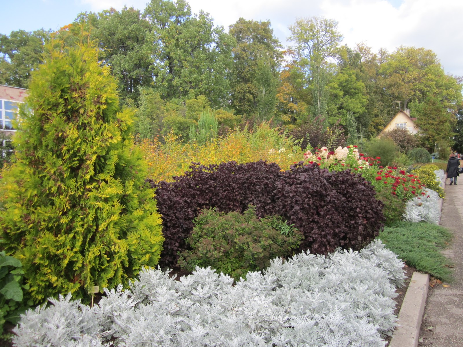 pildipostitus. Veel mõned kukerpuu kaared