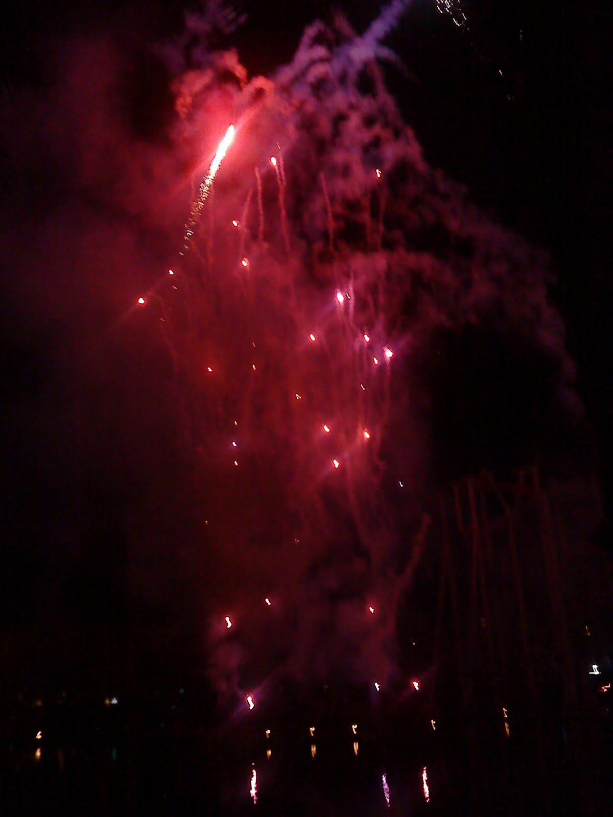 Lychees From Leechie: Lights, Camera, Action!!!