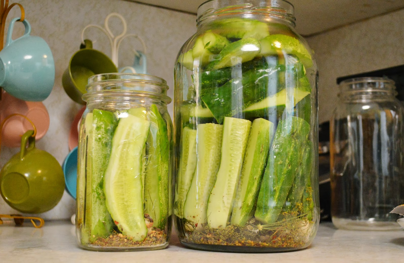 inspired mama musings: cold packed pickles*