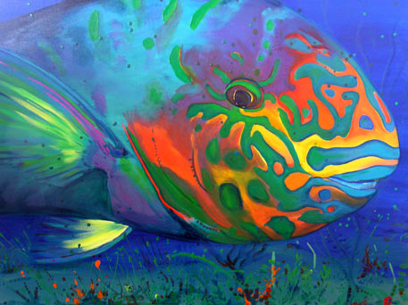 Most Amazing: Rainbow Parrot Fish