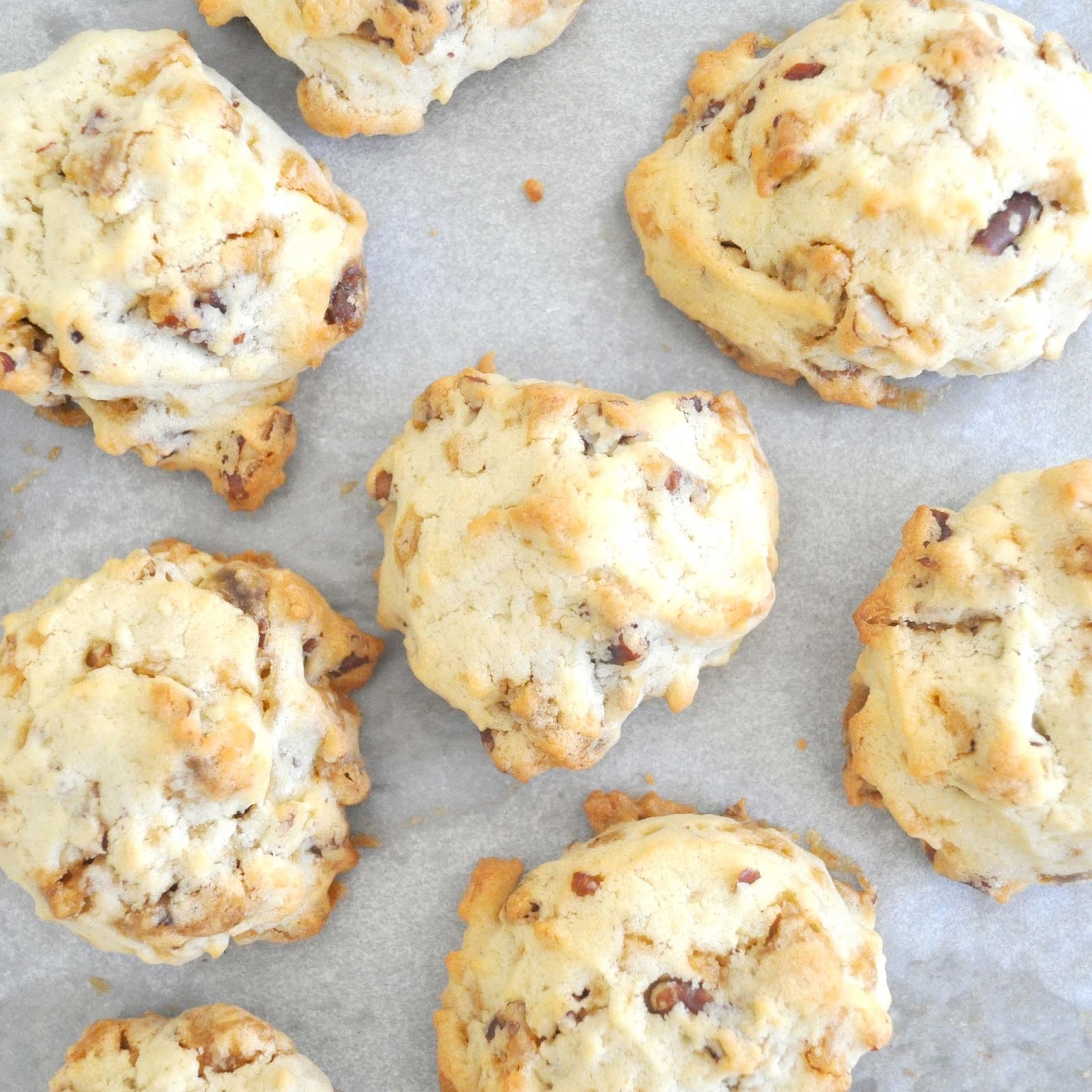 Praline Pecan Cookies | Word of Recipes