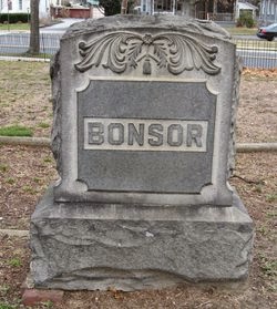 Bonsor and Johnson Family Trees