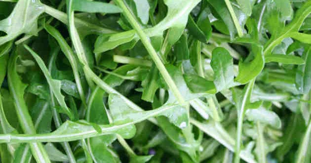 La rúcula .Propiedades y contraindicaciones - Propiedades y ...