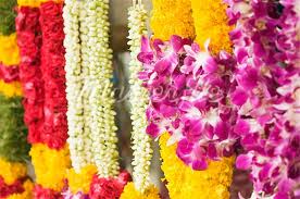 Studio Floral Dora Santoro: Flores da India