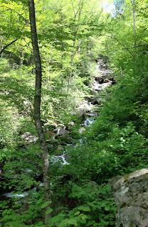 NC BACKCOUNTRY: A Day Hike at Grayson Highland State Park