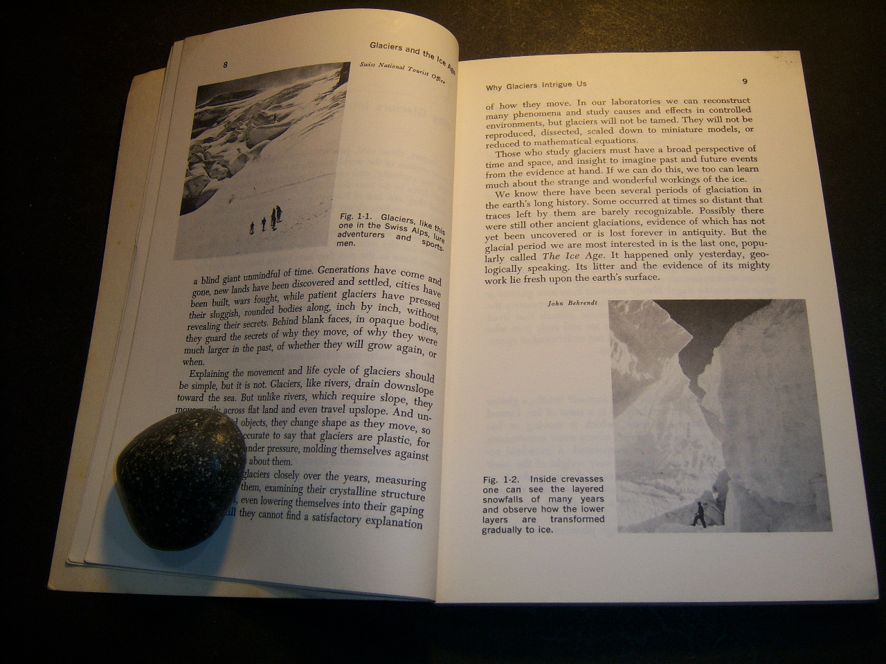 Stevenson Libros: Glaciers and the Ice Age. Gwen Schultz