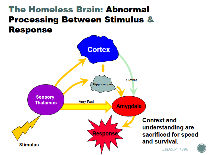 CANDO Archive: Recovering from Homelessness