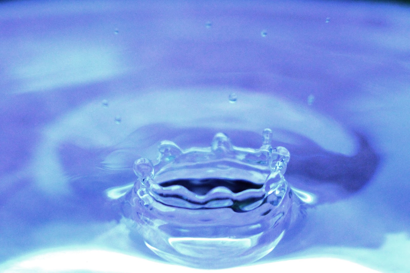 Unit 1 Photography: Fast Shutter Speed