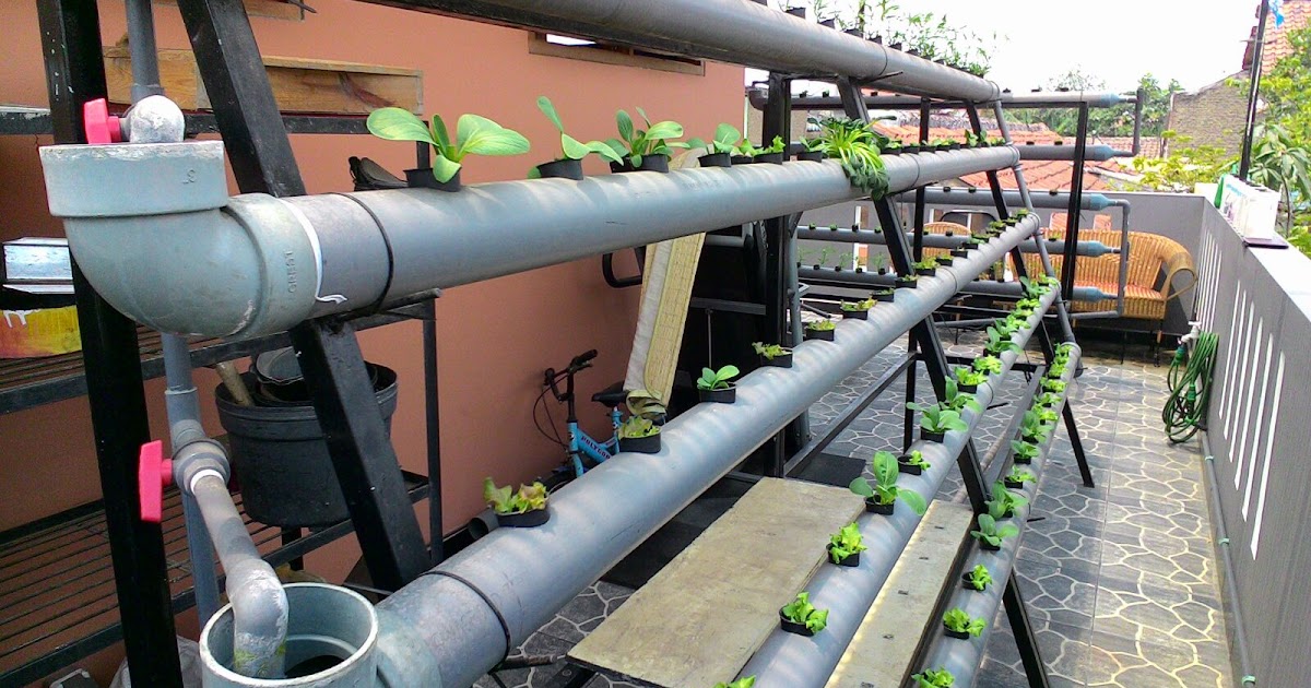 Bersama Belajar dan Praktek Hidroponik: Sistem DFT (Deep Flow Technique)