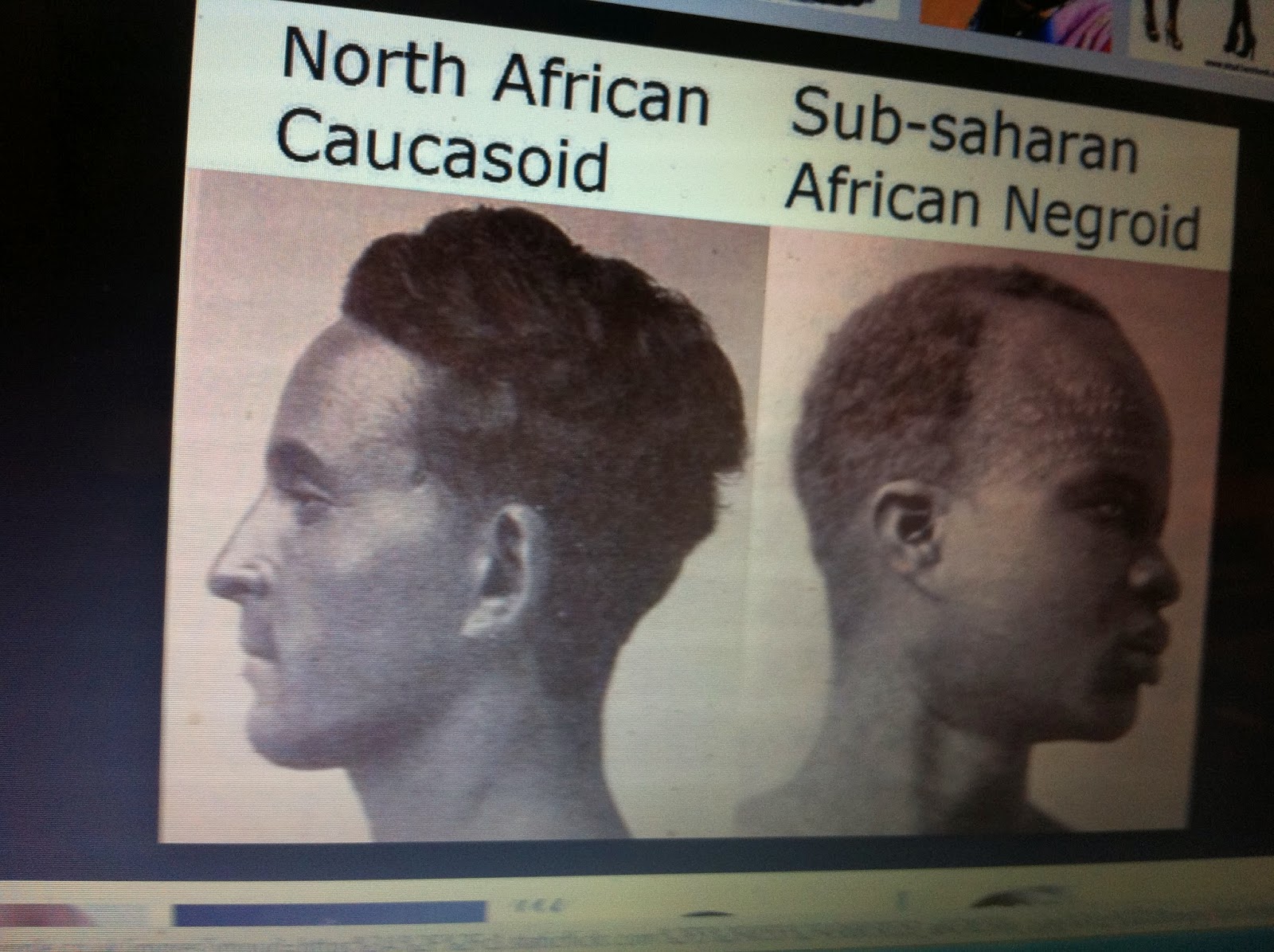 THE BLACK SOCIAL HISTORY:: BLACK SOCIAL HISTORY : NEGROID - IS THE TERM ...