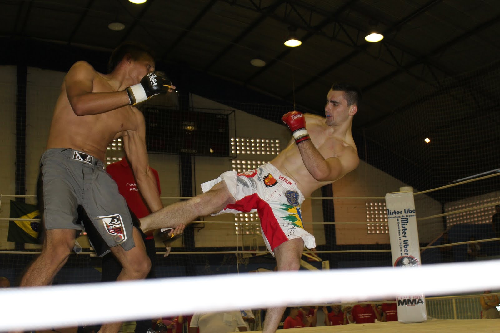 Toeikan ( lutando com bravura)