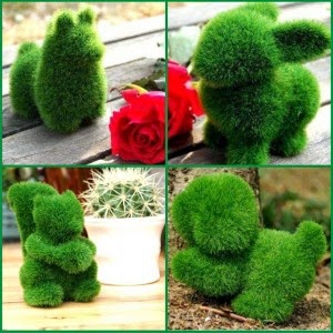 Boneka Rumput | Toko Lutuna