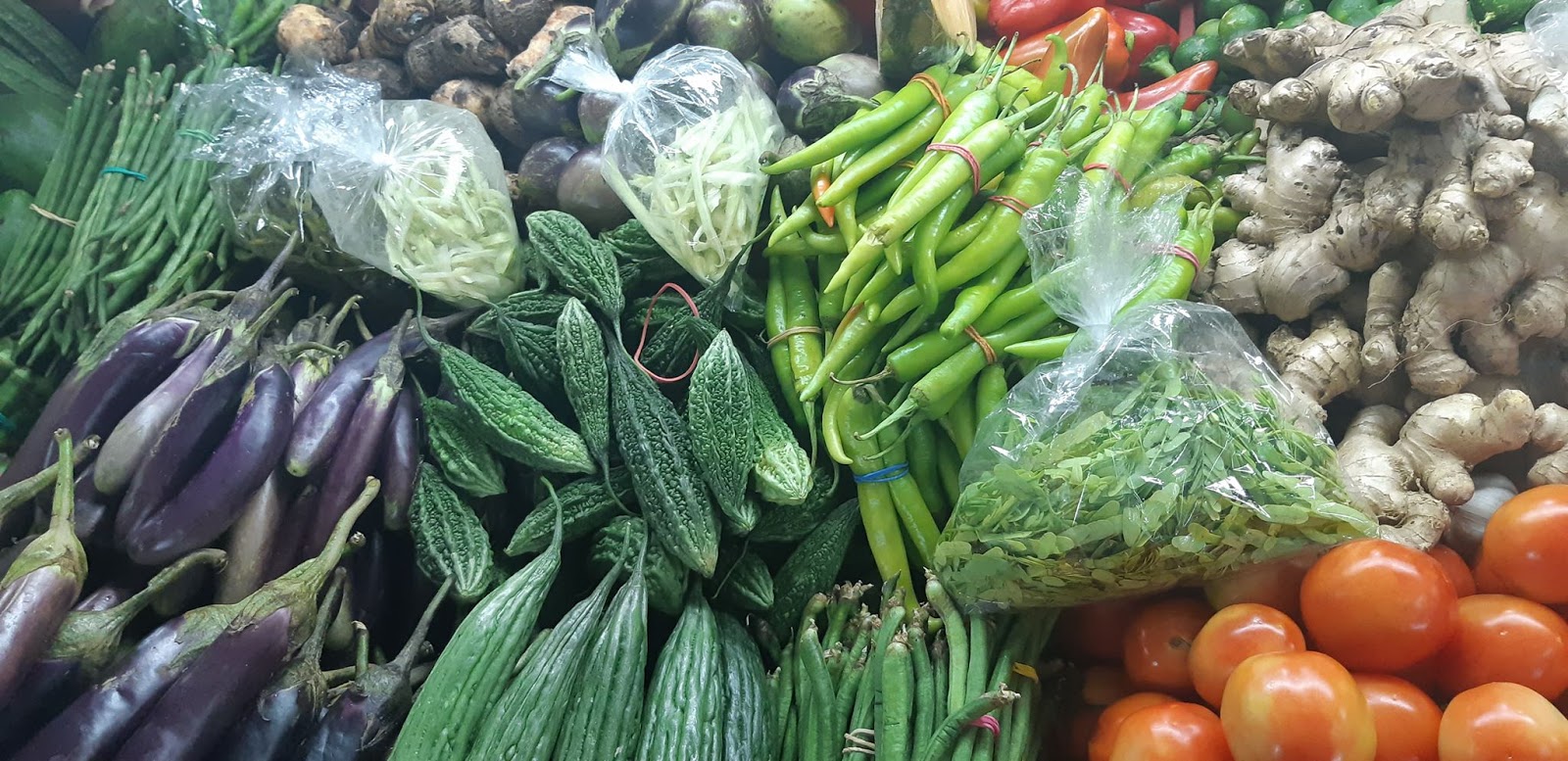 OUR PHILIPPINE TREES