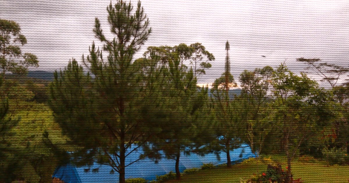 TravelWithShark: The Saddle Ridge ~ Dahilayan, Bukidnon