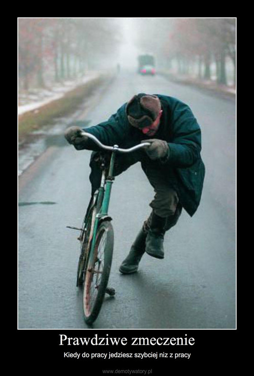 miejsce fotografii: 41 z 42 / Krzysztof Miller / Pijany rowerzysta