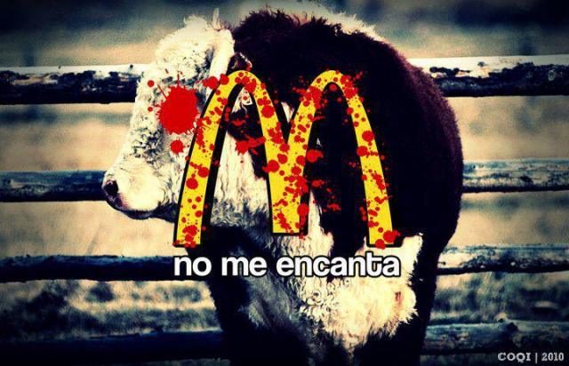 PRIMATES VESTIDOS: CADA VEZ QUE VAS A MCDONALD’S ESTÁS DESTRUYENDO ESTE ...
