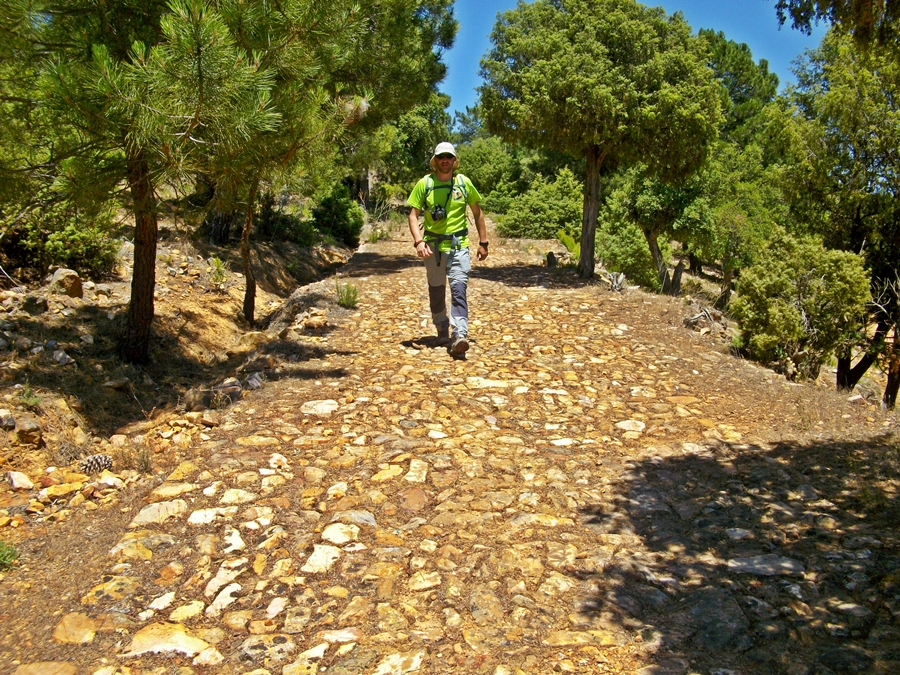 ÚBEDATREKKING : RUTA 075 - (OT) - MIRANDA DEL REY, PICO ESTRELLA ...