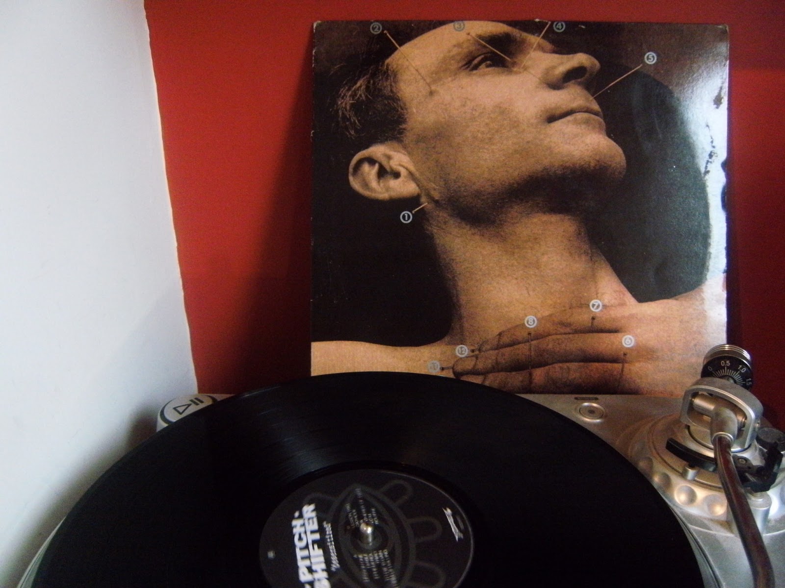 These LPs: Pitch Shifter - Desensitized