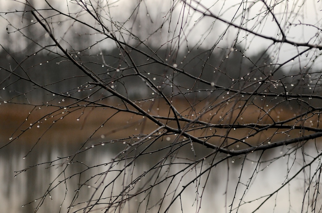 Kuvamerkintöjä: Marraskuu...