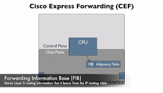 Forwarding information base