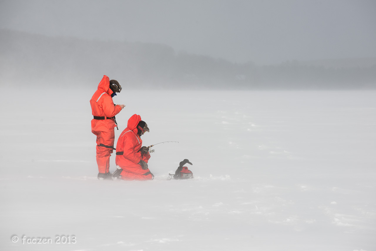 The FACzen Image: It's C-c-c-cold out there!