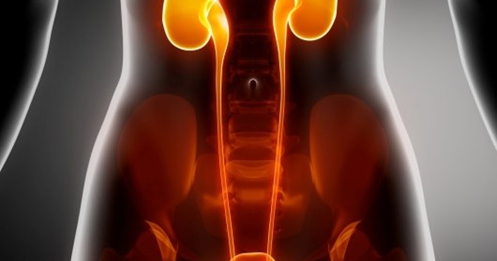 5 Remedios caseros para eliminar quistes en el riñón - Salud Online