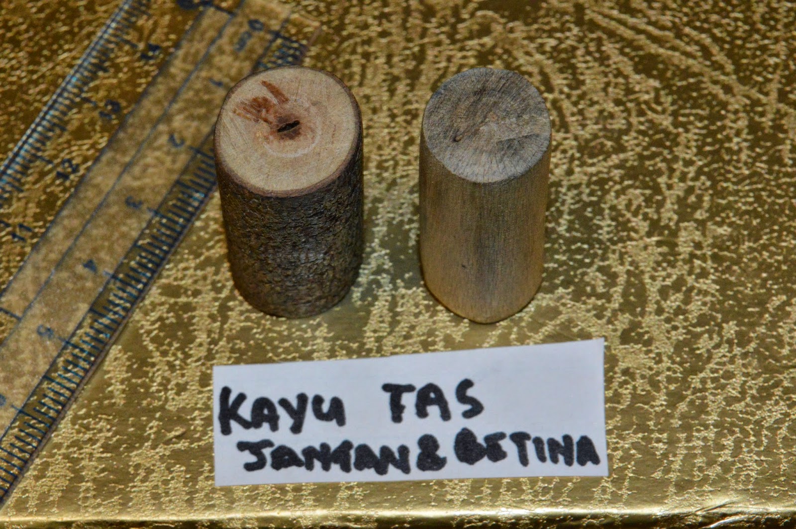 MISTIK ALAMI: KAYU TAS (JANTAN & BETINA)