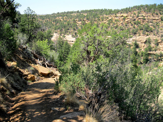 Four Corners Hikes-Mesa Verde: Spruce Canyon Trail on Chapin Mesa