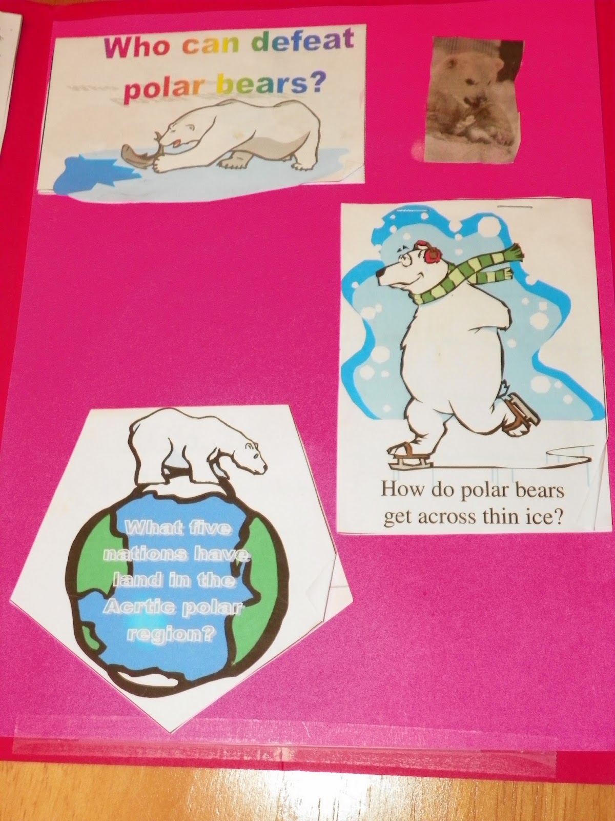 The Little Sewing Shop: Polar Bear Unit Study/lapbook