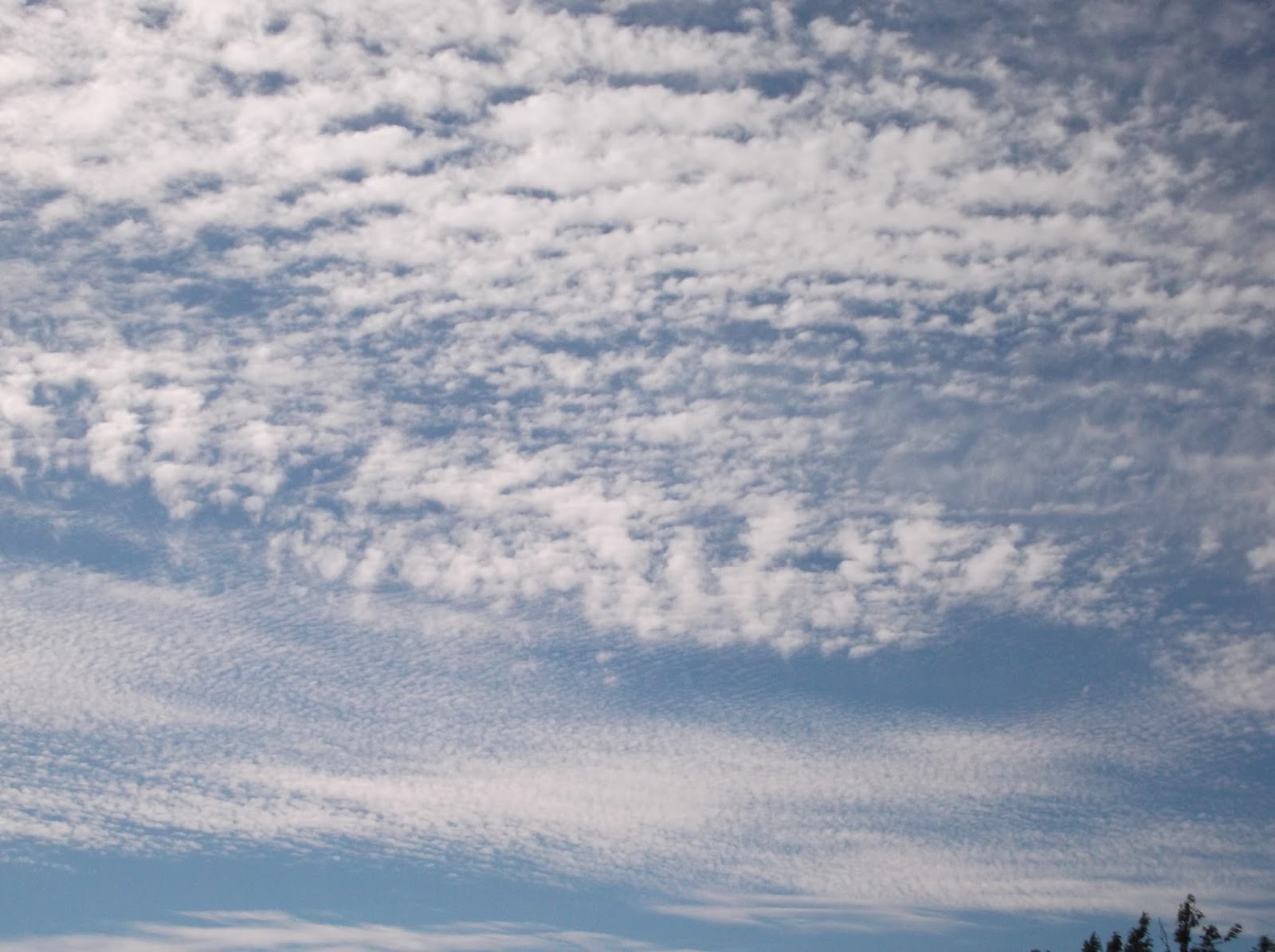 FlygSpectrum: XH558 Vulcan with The Reds one last time - 'Feel the ...