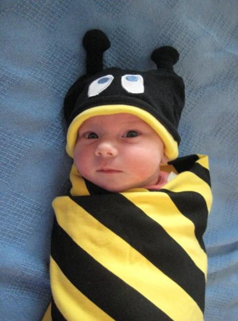 The Yankee and Peach, continued...: TWENTY FOR TWENTY