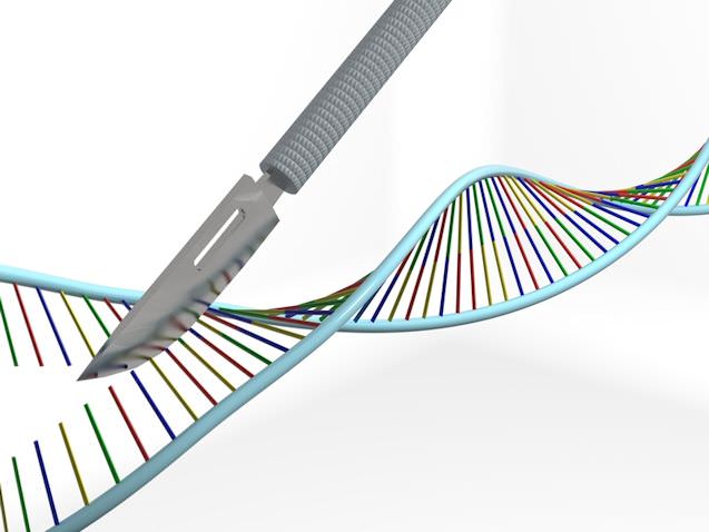 The Trenches of Discovery: The future is now! The rise of genome editing