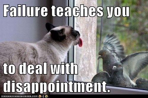 Growth Mindset & Feedback Cats: Failure teaches you to deal with ...