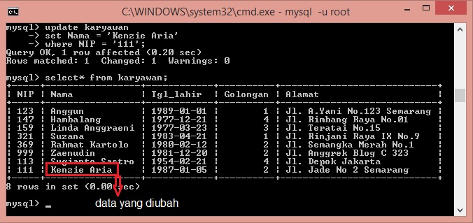 Belajar Membuat Database MySQL Menggunakan Command Prompt: Manipulasi Data